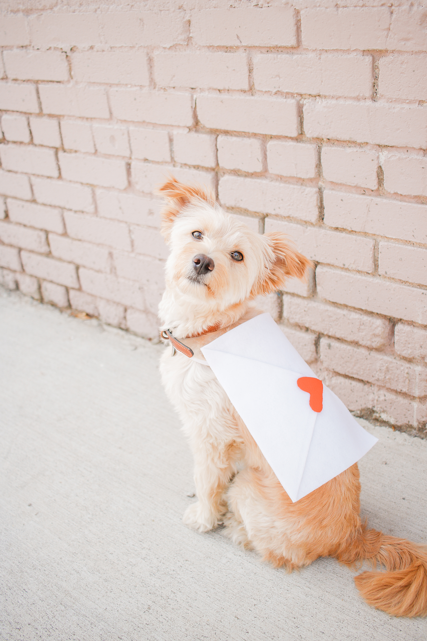 DIY Love Letter & Mailman Couples Halloween Costume - mikyla